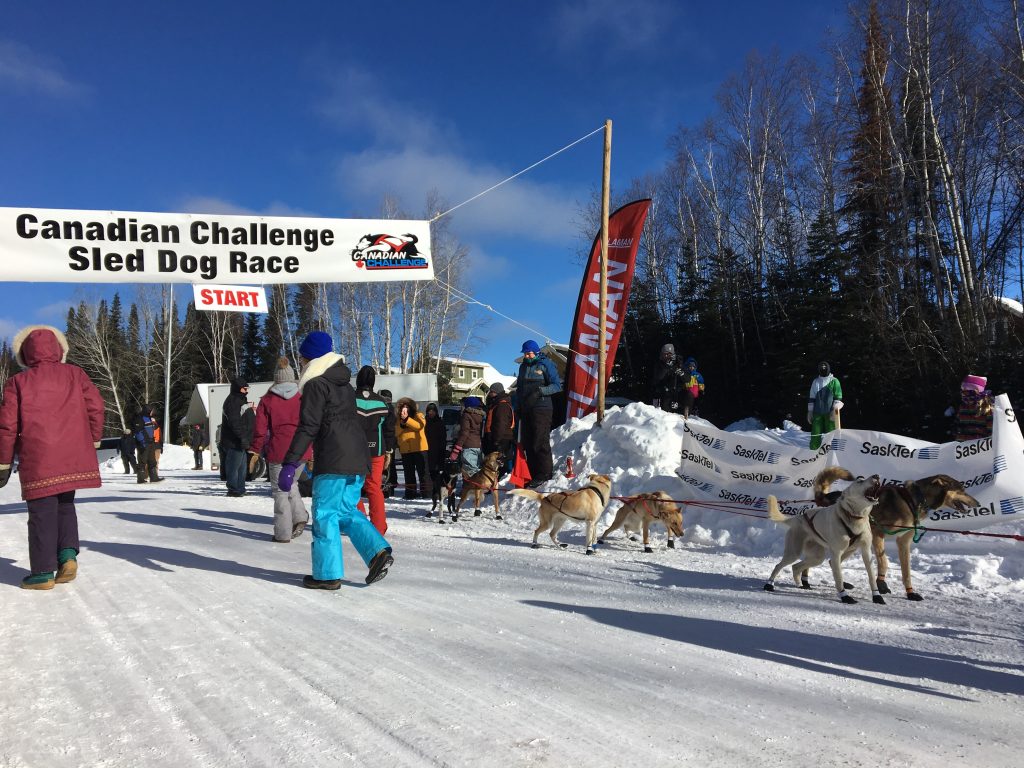 Canadian Sled Dog Challenge begins Tuesday amidst extreme cold warning ...