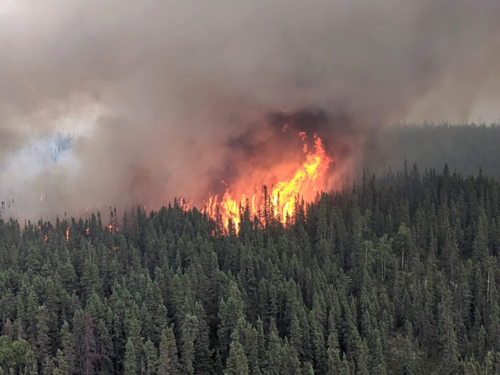 SPSA wildfire update: wetter and cooler weather helps firefighters ...