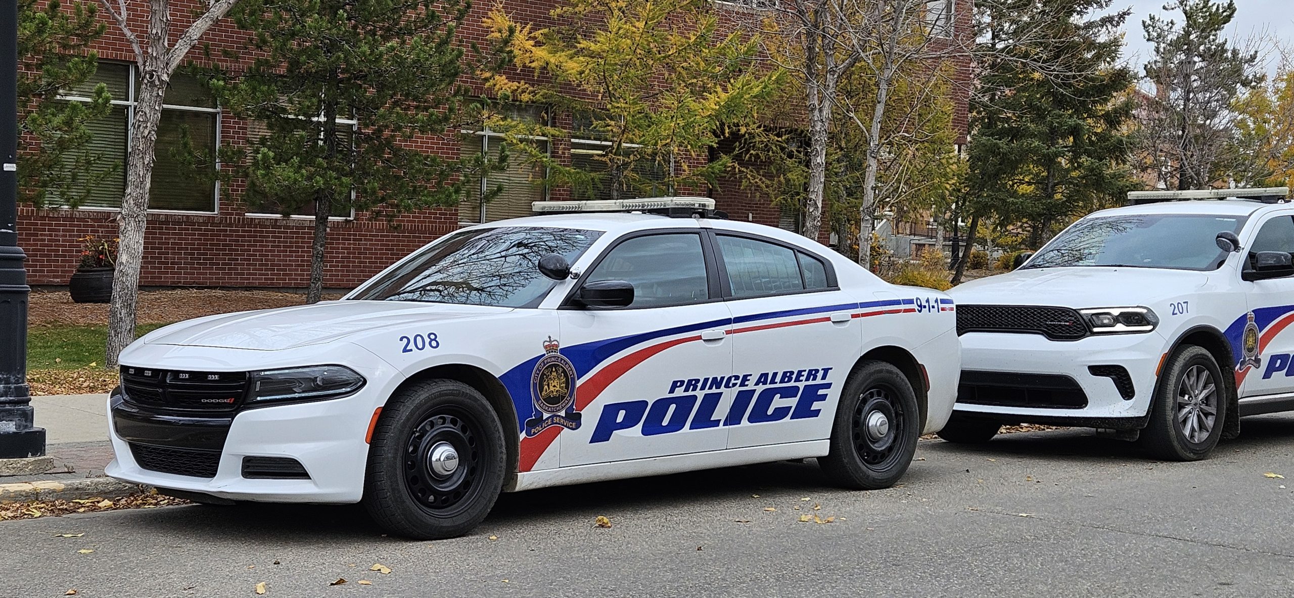 Prince Albert Police make arrests following series of armed robbery ...