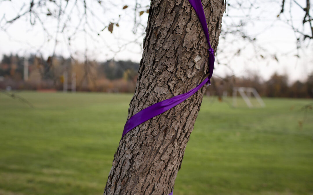 SD71 discriminatory bullying - MBC Radio