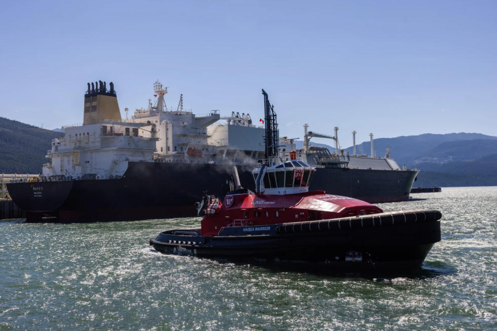 Ottawa warned public funding for LNG and fossil fuel projects could ...