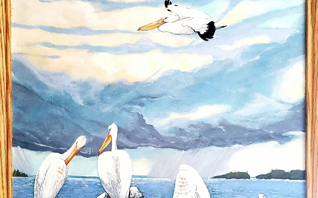 myles charles 3 - MBC Radio